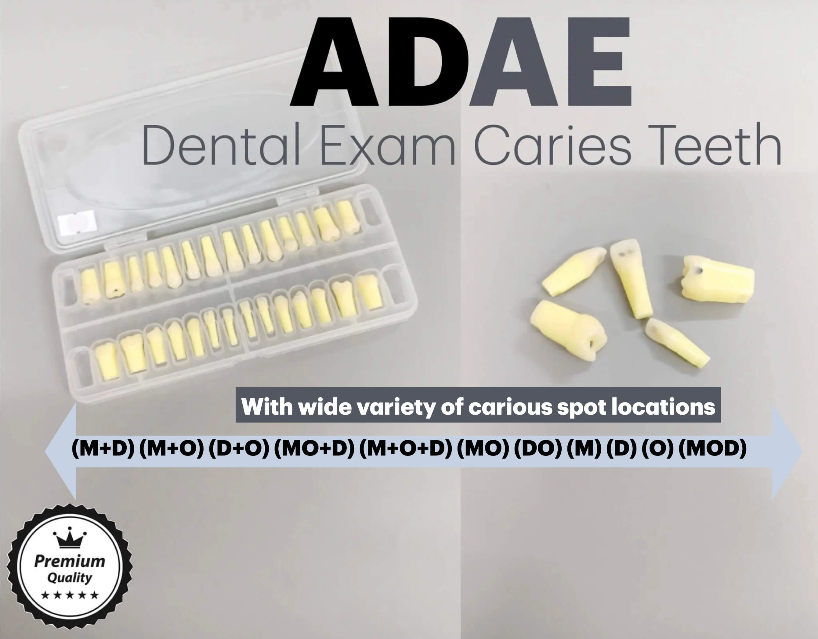ADAE dental exam caries teeth with screws – ADAE Dental Online Store