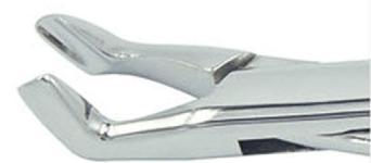222# dental extraction forceps (2pcs) – ADAE Dental Online Store